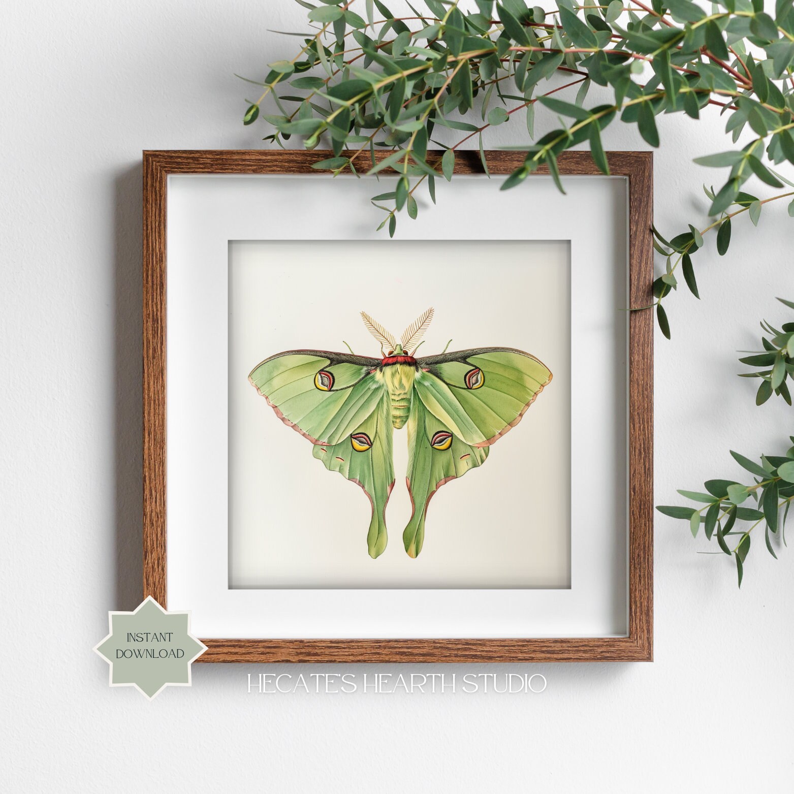 Luna Moth Watercolor Print PRINTABLE ART Entomology Print Witchy Gifts ...