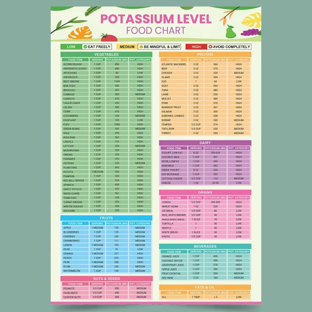 Potassium Food Chart: Low & High Potassium Foods (digital Download ...