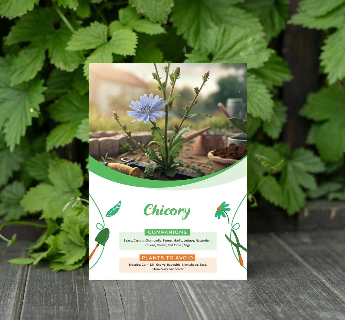 Companion Planting Guide, Garden Organizer, Plant Guide, Plant Planner ...