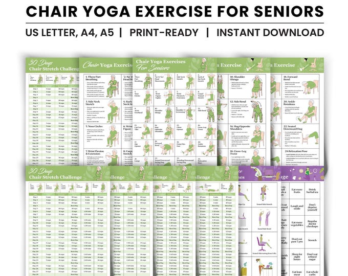 Chair Yoga Exercise Guide for Men Beginners Seniors Home Balance ...