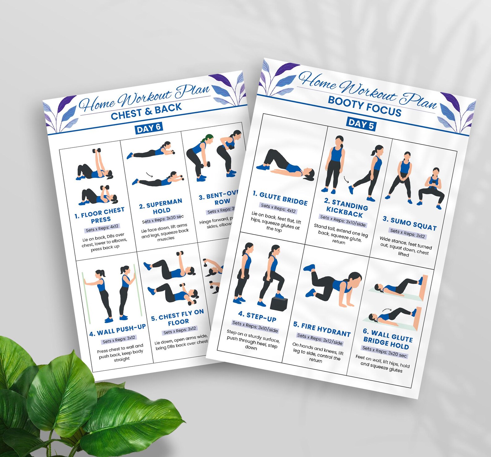 Home Workout Split Plan | 6-day Strength Program With Dumbbells ...
