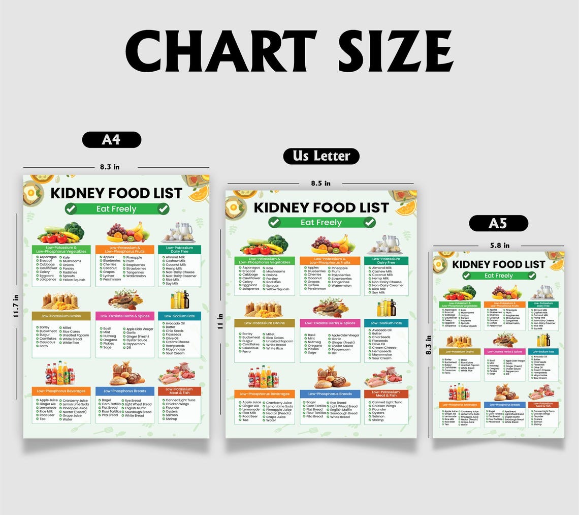 Kidney Diet Laminated Food Chart – Easy Eat & Avoid Guide for CKD ...