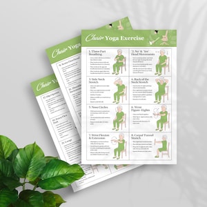 30 Chair Yoga Exercise in Guide for Seniors, Wheelchair Users, Nursing Home Balance Stability ...