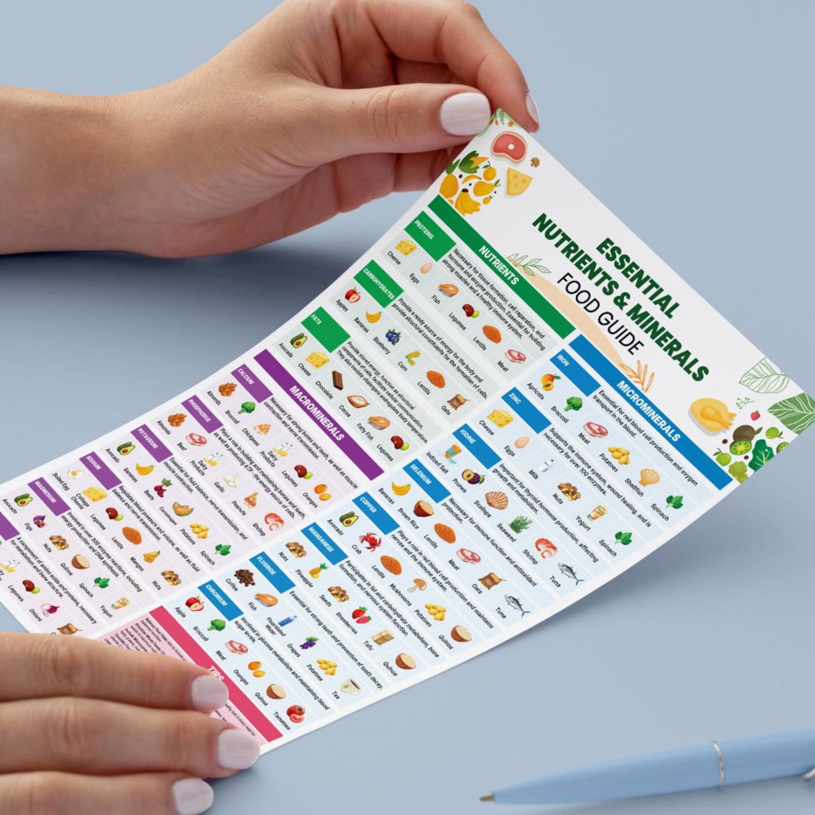 Essential Nutrients and Minerals Cheat Sheet: Supplement Reference ...