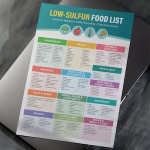 Low Sulfur Diet Food Chart • Instant Download • Sulfite-free / Gut ...