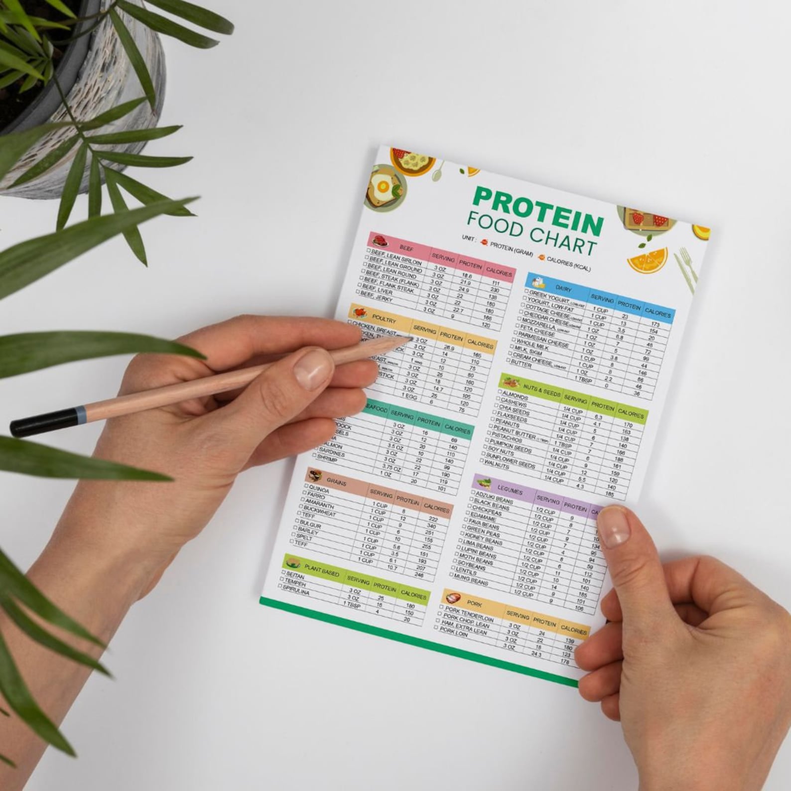 High Protein Food List and Low Carb Keto Food Chart for Muscle Building ...