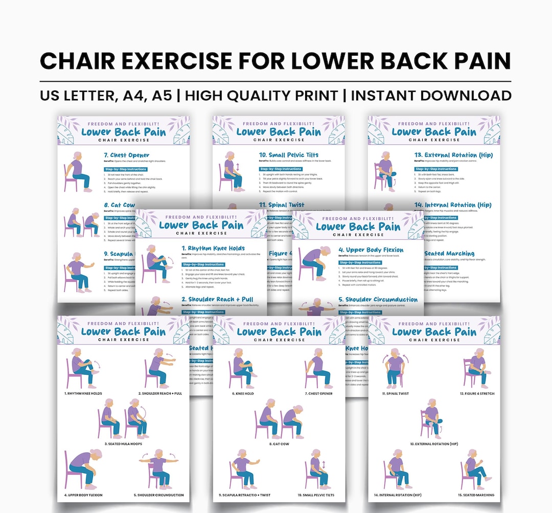 Chair Exercise for Lower Back Pain Relief: Printable Mobility Guide ...