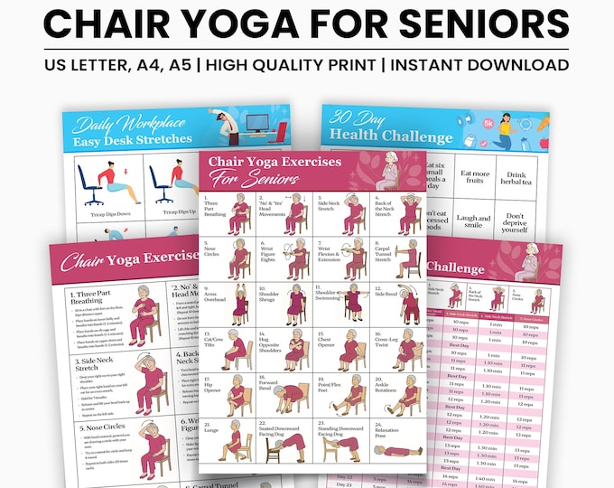 30 Day Chair Workout Bundle Printable + Interactive Pdfs | Easy to ...