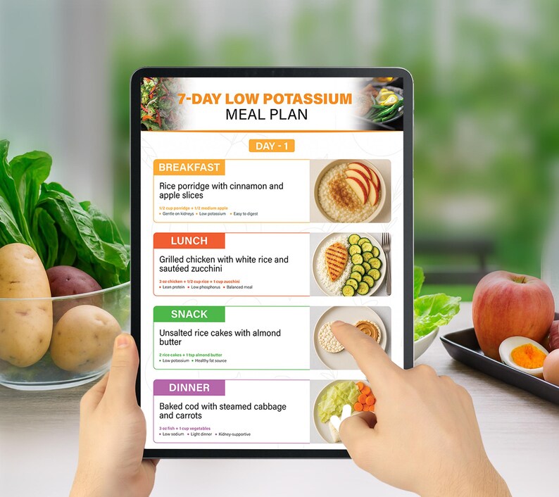 7-day Low Potassium Meal Plan Recipes | Renal Diet Printable | Kidney ...