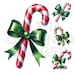 Christmas Candy Cane Clip Art | Festive Green Bow (digital PNG Download ...