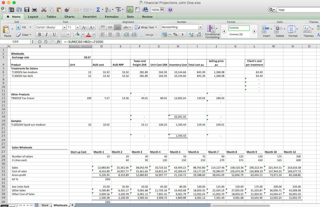 Financial Projection Excel Spreadsheet Extensive - Etsy