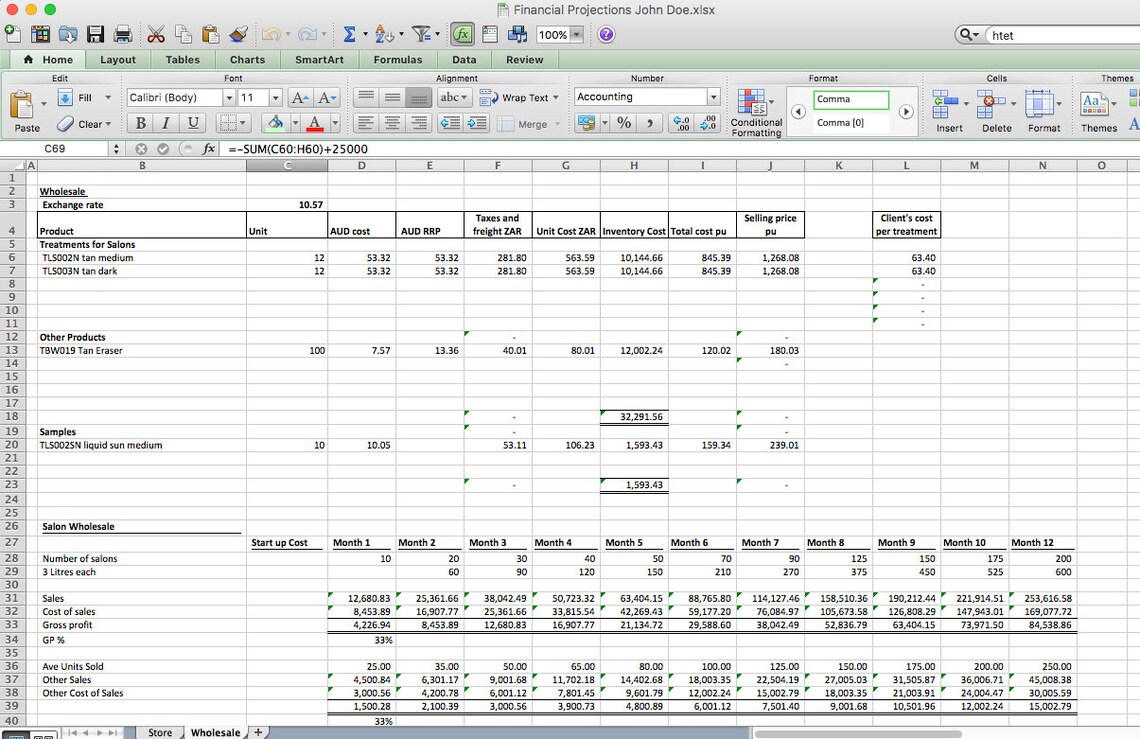 Financial Projection Excel Spreadsheet Extensive - Etsy