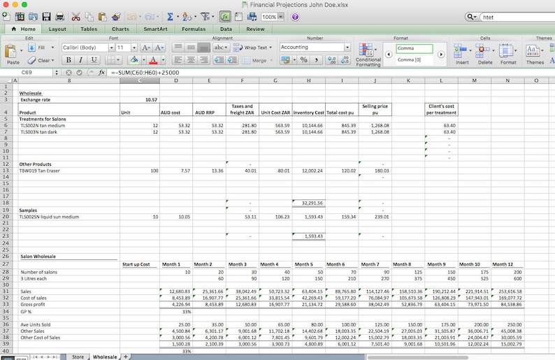 Financial Projection Excel Spreadsheet Extensive - Etsy