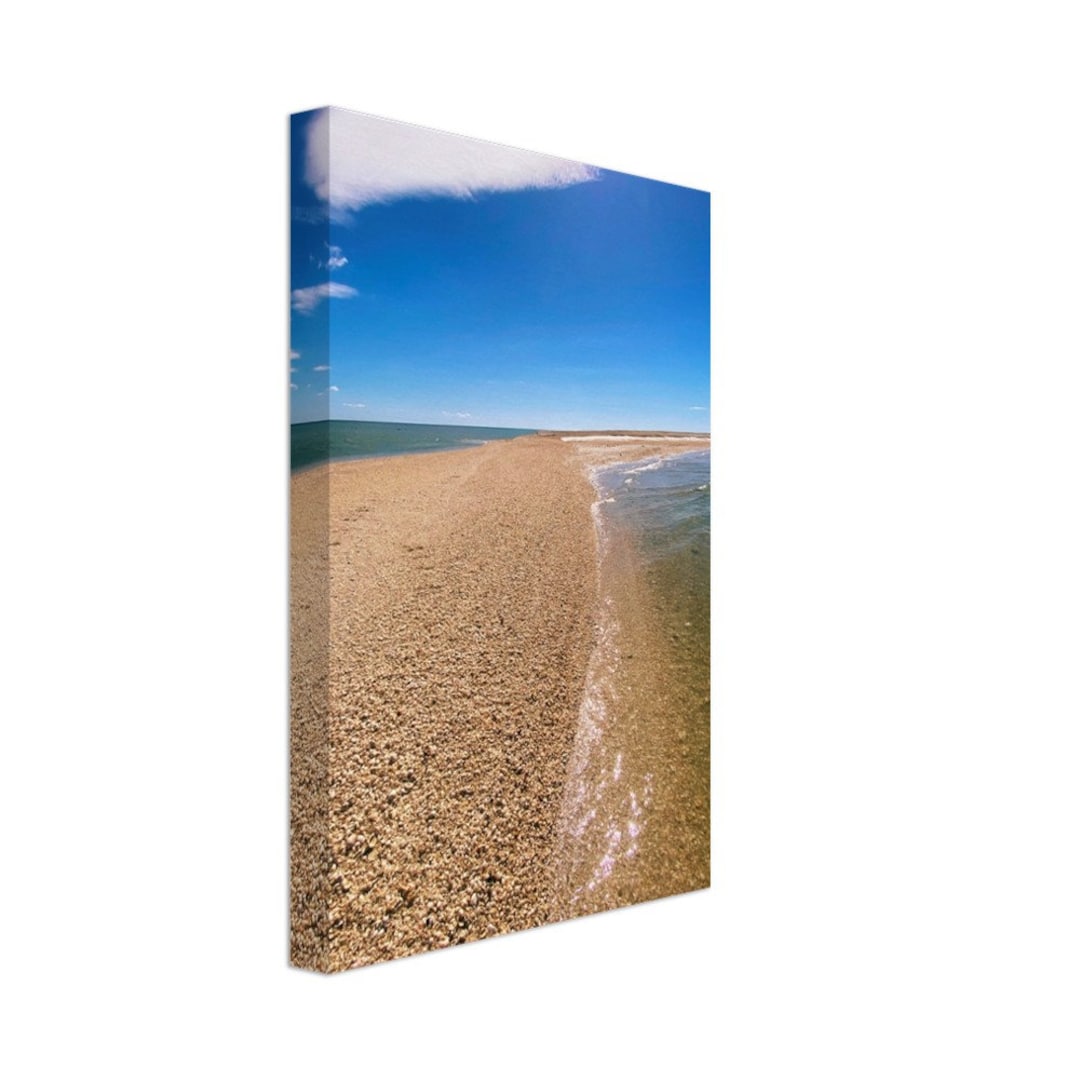 Shell Island Canvas Wall Art, Sandbar Beach Ocean Landscape, Nature ...