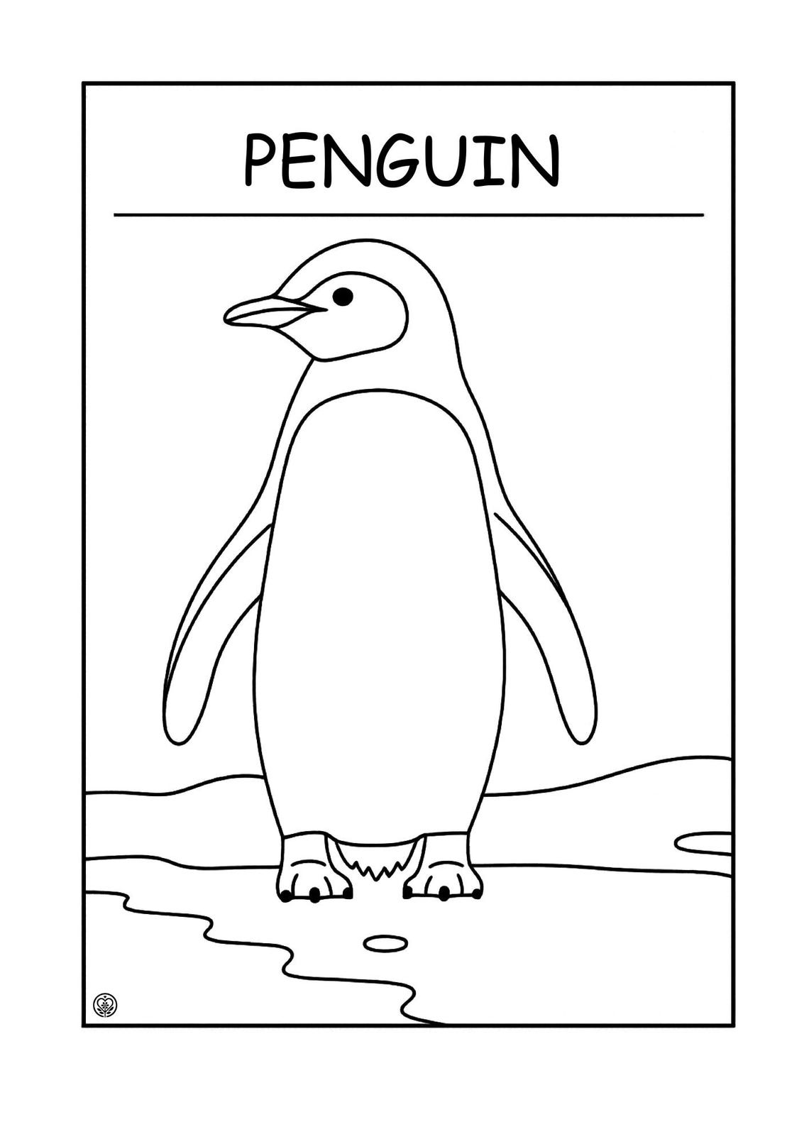 Galápagos Animals A–Z Coloring Pages | Printable PDF + Pngs | Kids ...