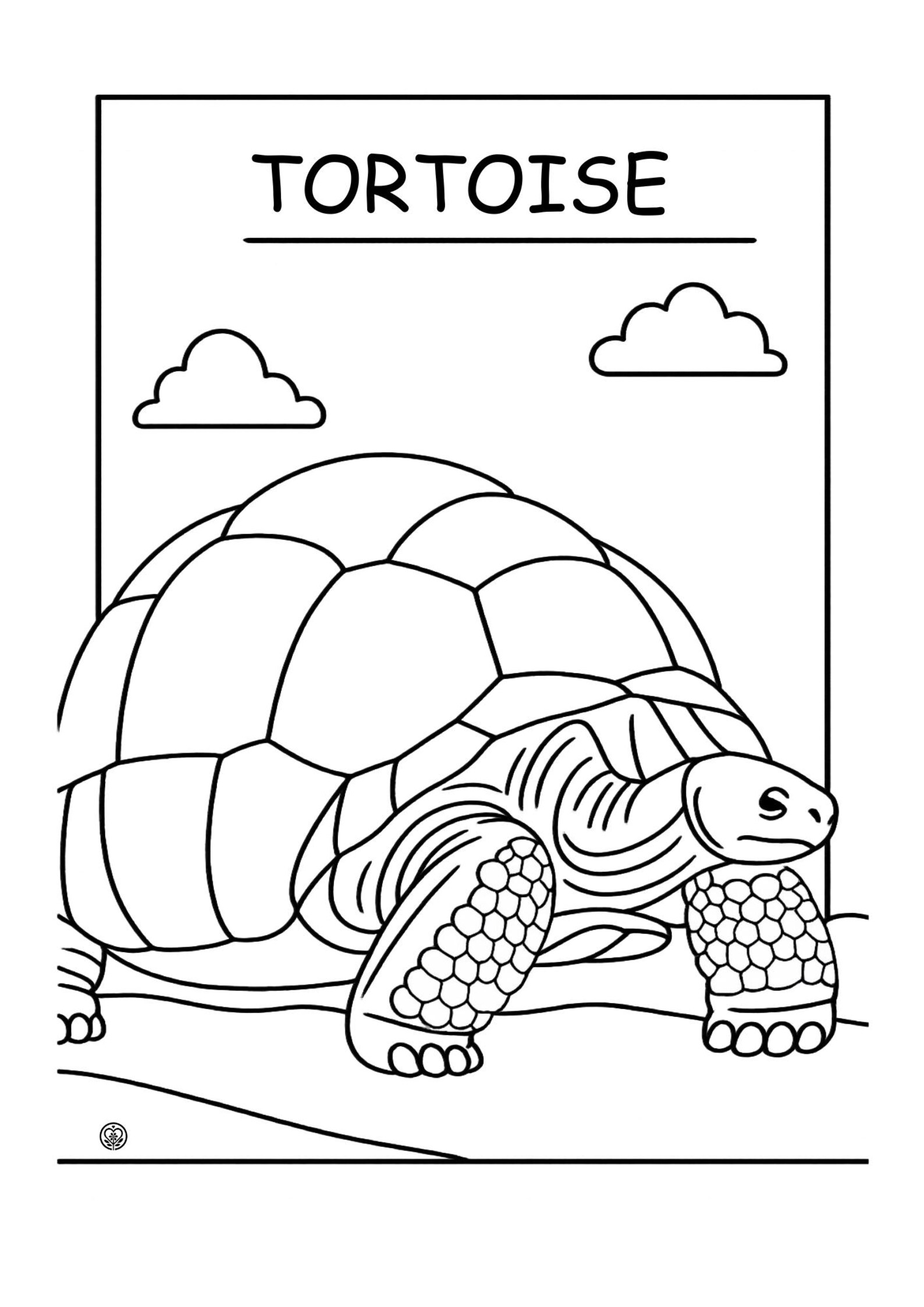 Galápagos Animals A–Z Coloring Pages | Printable PDF + Pngs | Kids ...