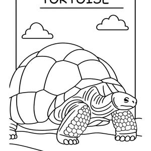 Galápagos Animals A–Z Coloring Pages | Printable PDF + Pngs | Kids ...