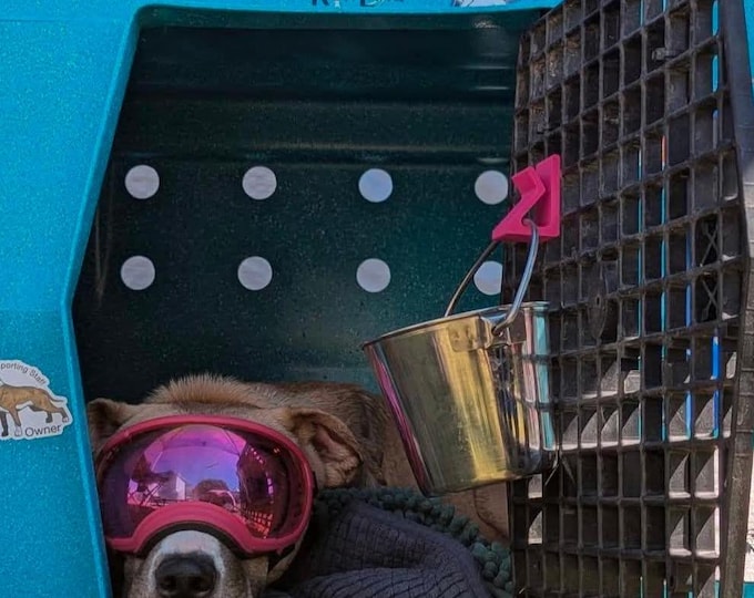 1qt Water Bucket Pail Dog Tumbler | Neon Tie Dye Swirl | Epoxy Tumbler ...