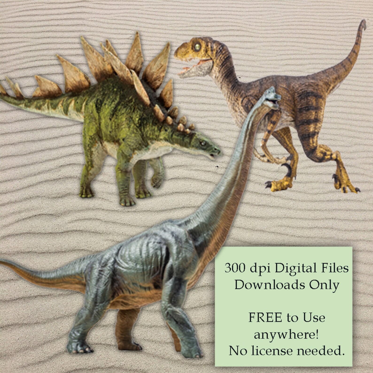 63 300 Dpi Dinosaur 3D Clip Art Files set B 21 Designs of Realistic ...