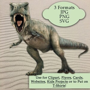63 300 Dpi Dinosaur 3D Clip Art Files (set B) 21 Designs of Realistic ...