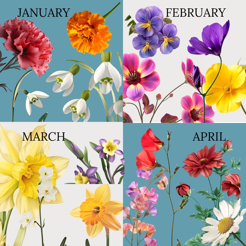 BIRTH MONTH FLOWERS Clipart: Floral Blooms Clipart for Every ...