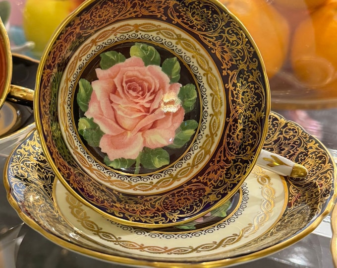 Rare Paragon Pink Cabbage Rose Teacup and Saucer Black and Gold ...