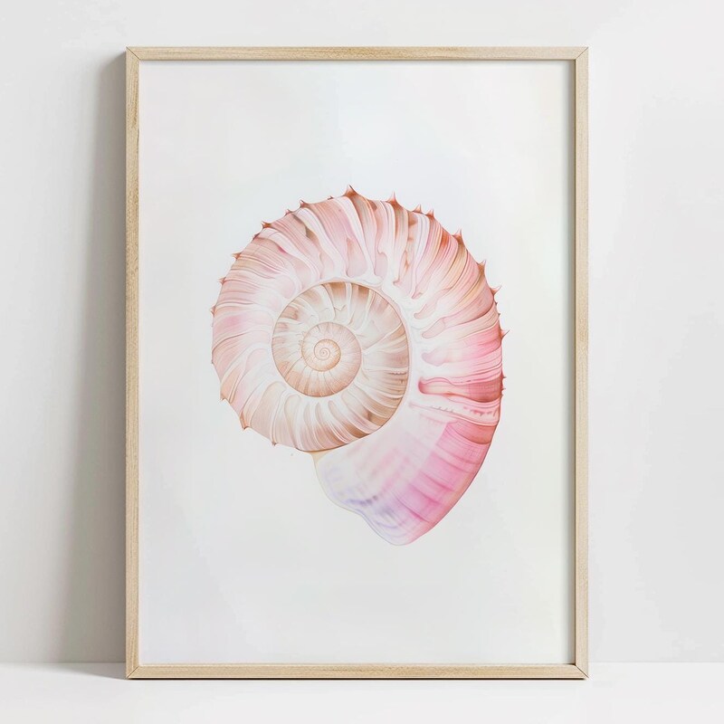 Nautilus Shell Art - Etsy