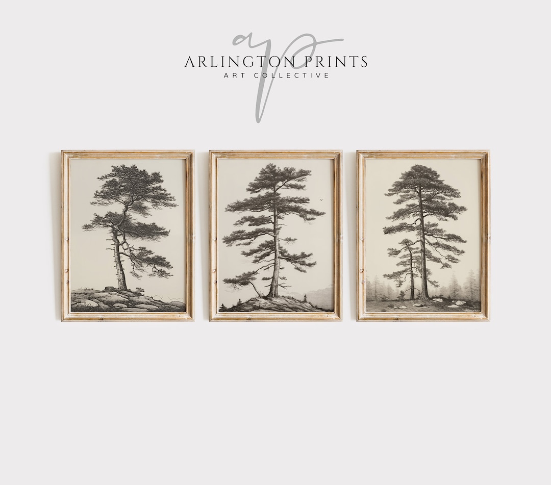 Neutral Beige Tree Drawings Set of 3, PRINTABLE Forest Prints, Vintage ...
