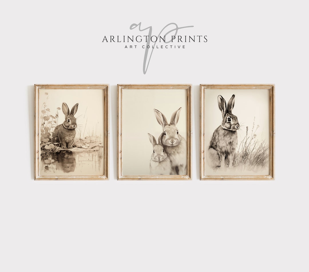 Vintage Rabbit Art Print Set of 3, Spring Wall Decor, Easter Bunny ...