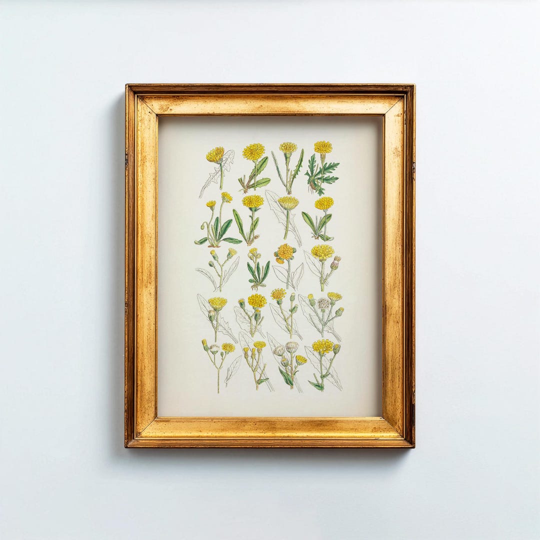 Vintage Dandelion Printable Wall Art, Antique Botanical Flower Study ...