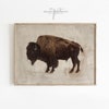Wild Buffalo Portrait Painting | Majestic Buffalo | Bison in the ...