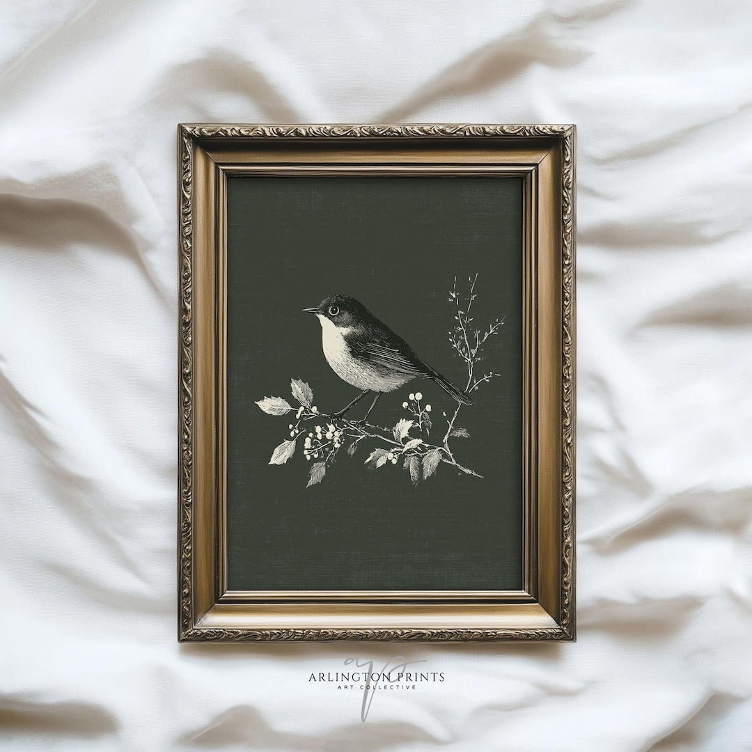 Botanical Bird Drawing Print, Vintage Bird Art in White Ink, Rustic ...