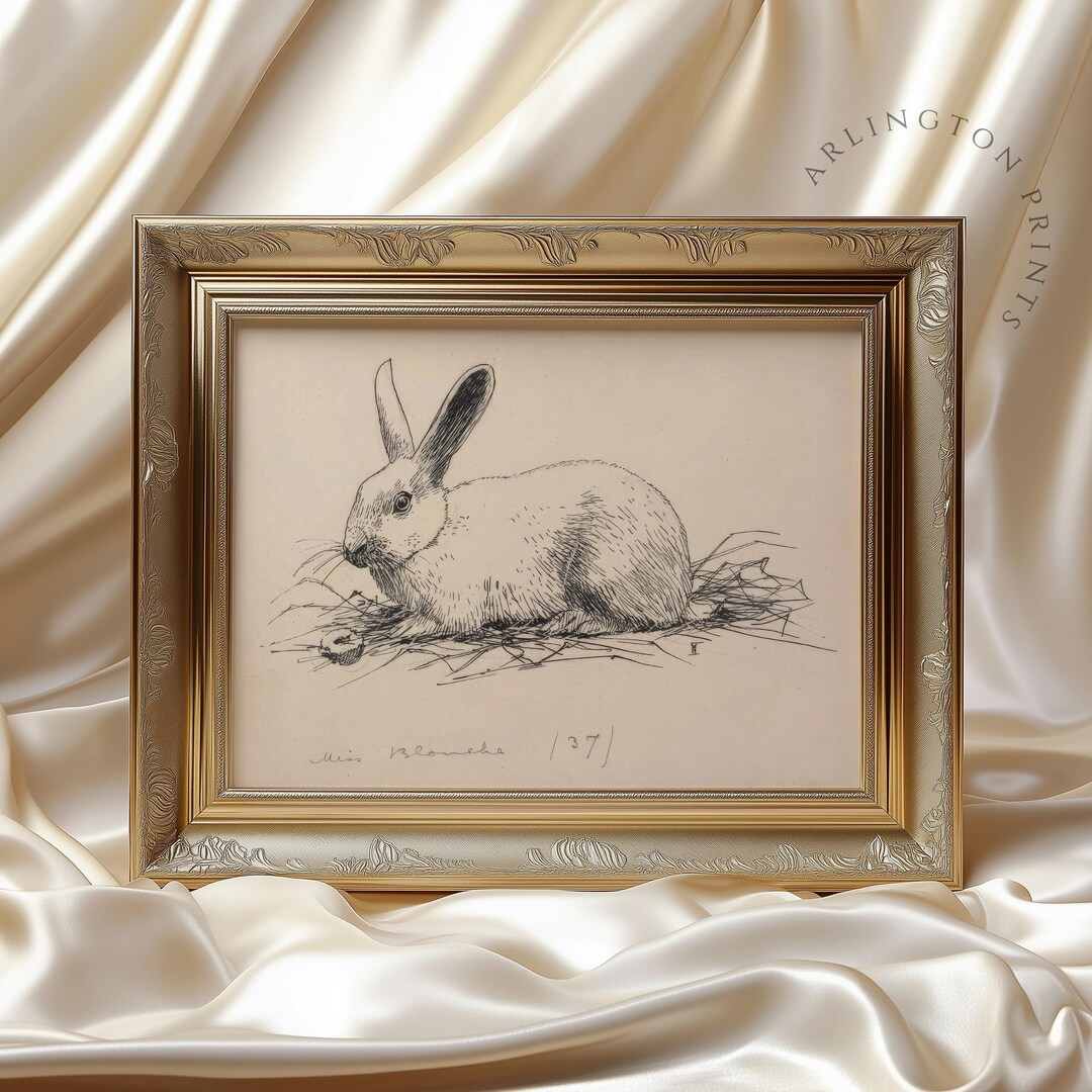 Vintage Bunny Etching Print, Classic Rabbit Sketch Art, Rustic ...