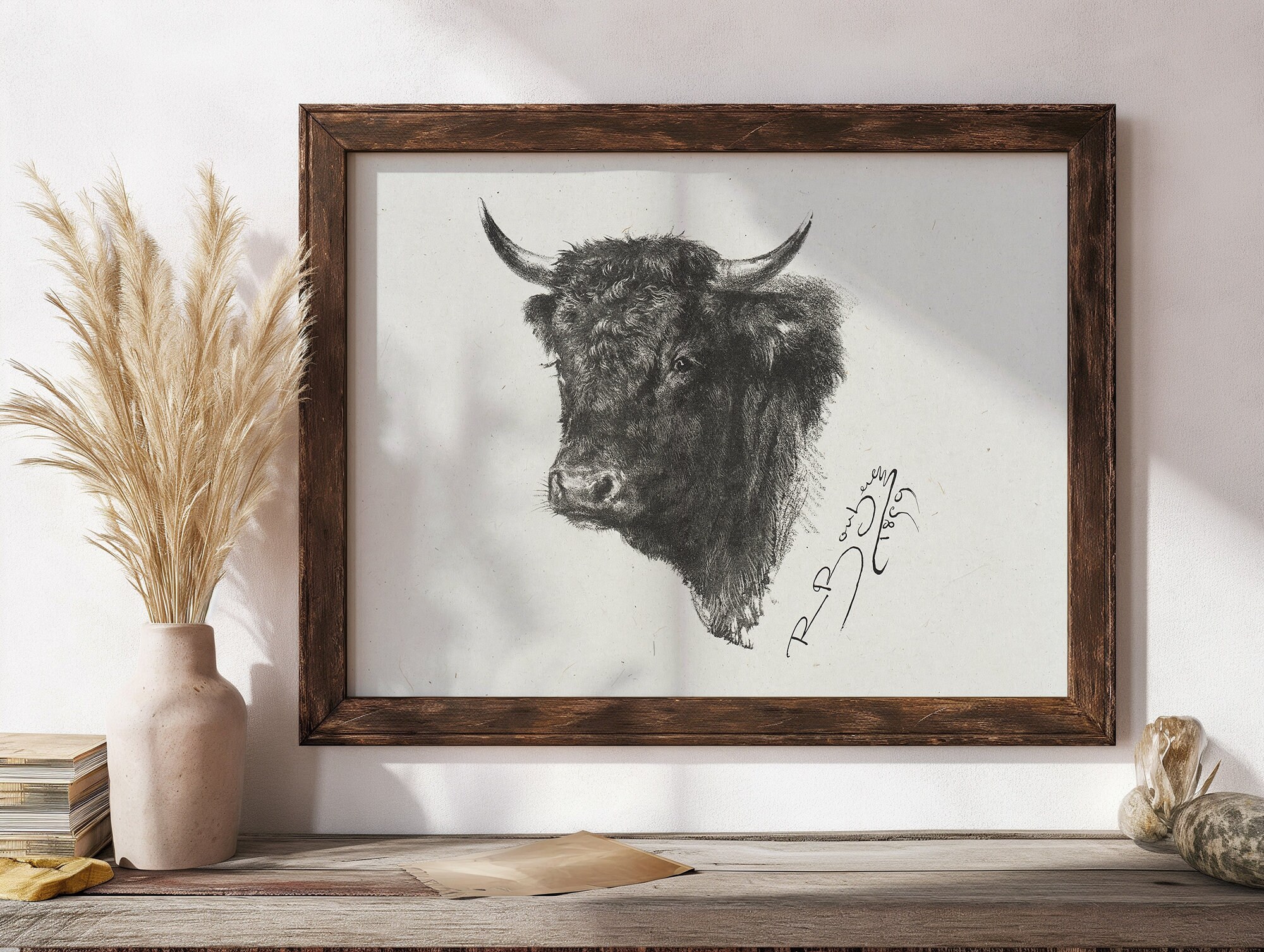 Vintage Cow Drawing, Antique Art, Farmhouse Print, Cow Illustration ...
