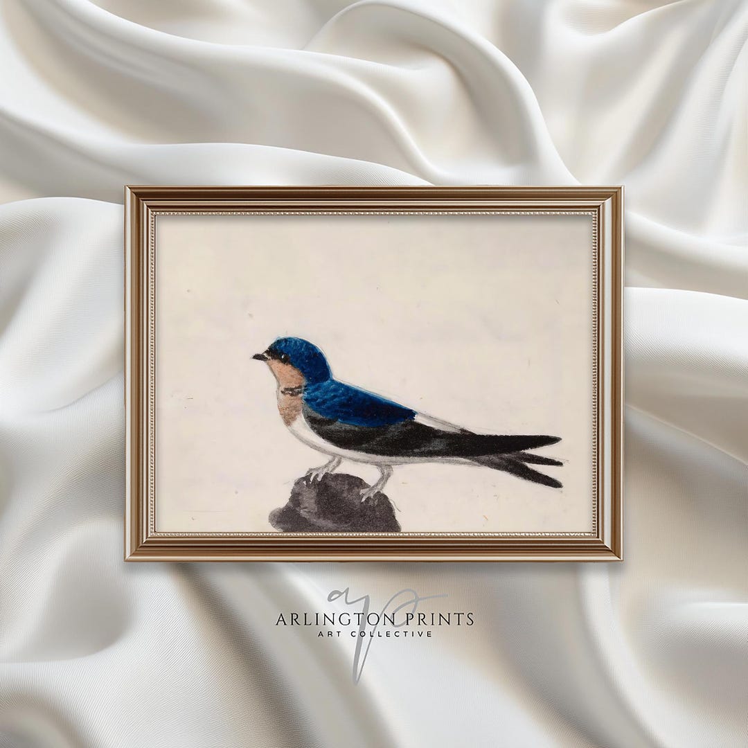 Vintage Bird Barn Swallow Watercolor Art, Neutral Country Wall Art ...