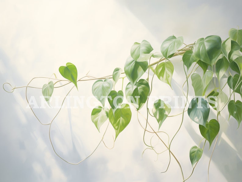 Pothos Vines, Digital Art Print, Botanical Wall Art, Tropical Foliage ...