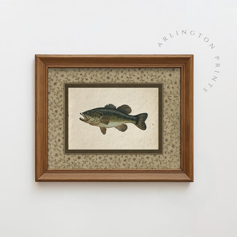 Vintage Picture of Fish - Etsy