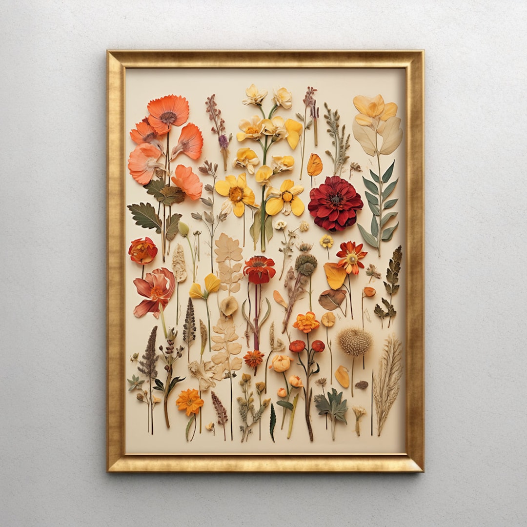 Pressed Flowers Art, Botanical Illustration, Boho Art, Flower Home ...
