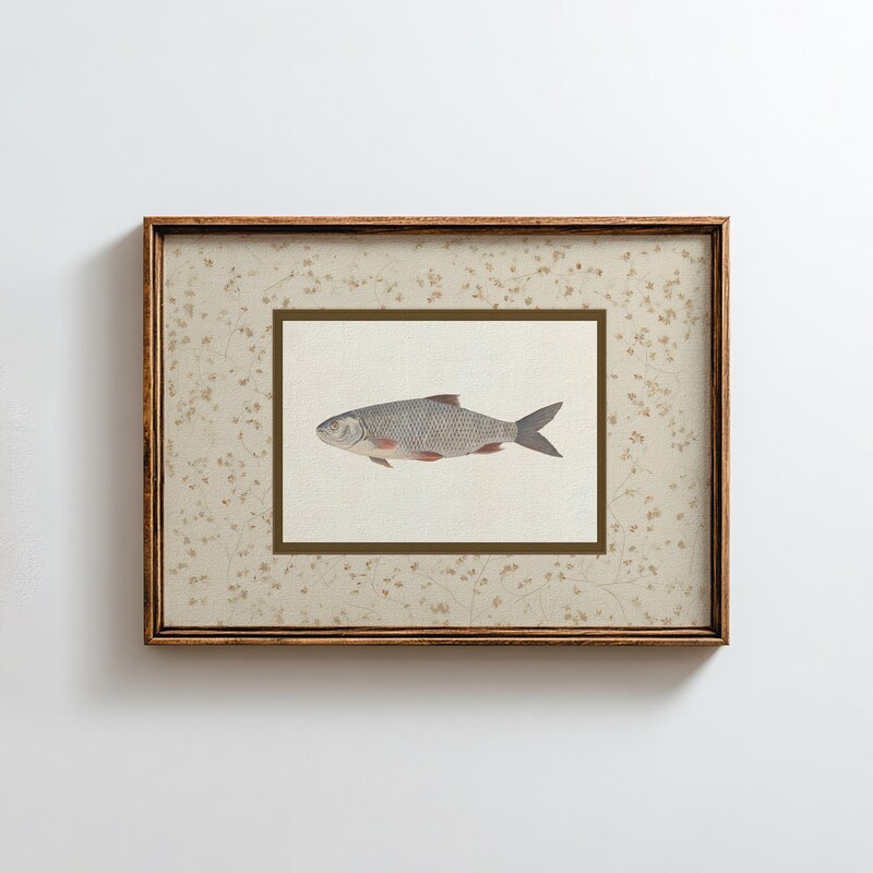 Antique Fish Print - Etsy