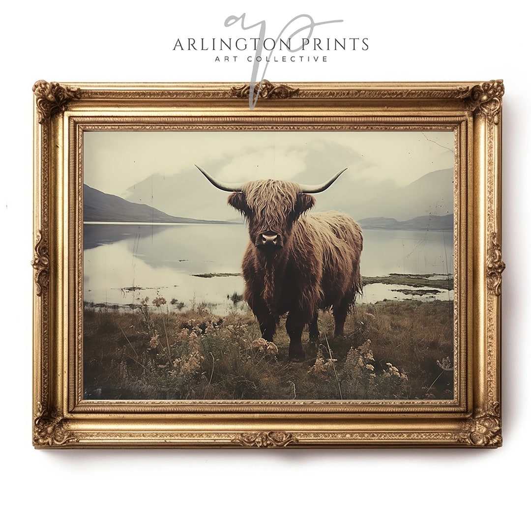 Highland Cow Picture, Highland Cattle Print, Scottish Countryside Photo ...