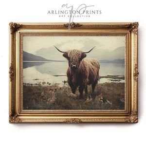 Highland Cow Picture, Highland Cattle Print, Scottish Countryside Photo ...