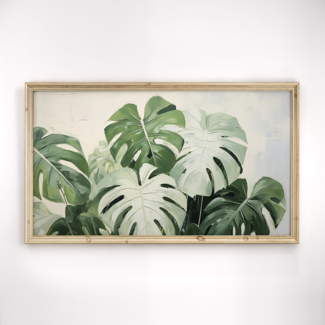 Monstera Albo Frame TV Art, House Plant Frame TV Art, Variegated ...