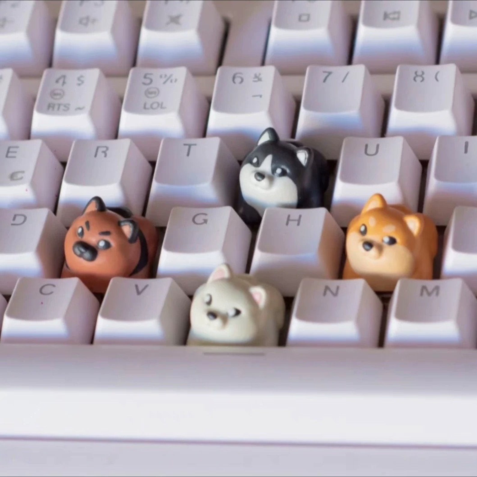 Side Eyes Shiba Inu ESC Artisan Handmade Keycaps Cherry MX, Keyboard ...