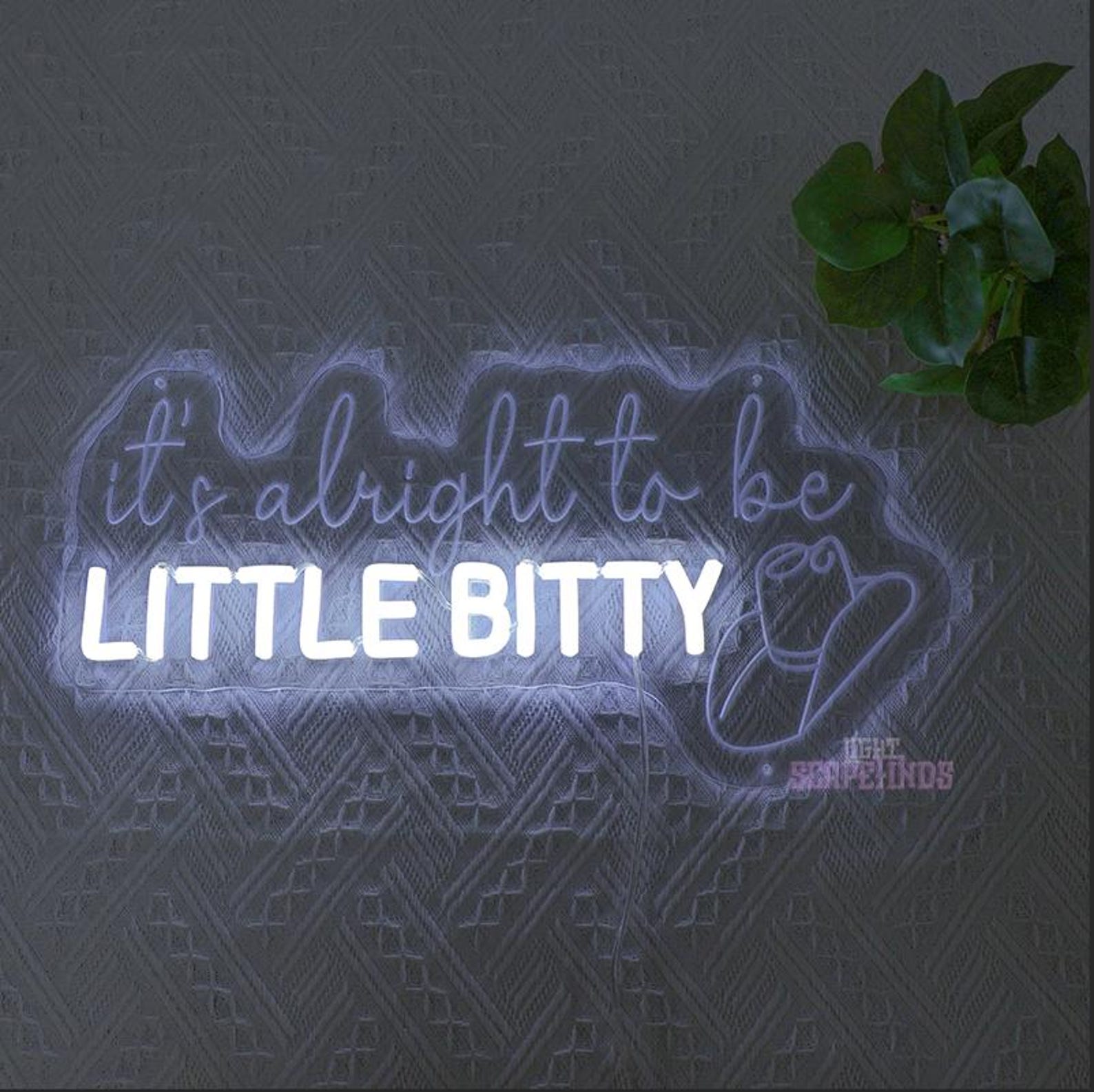 It's Alright to Be Little Bitty Neon Sign, Western Farmhouse Nursery ...