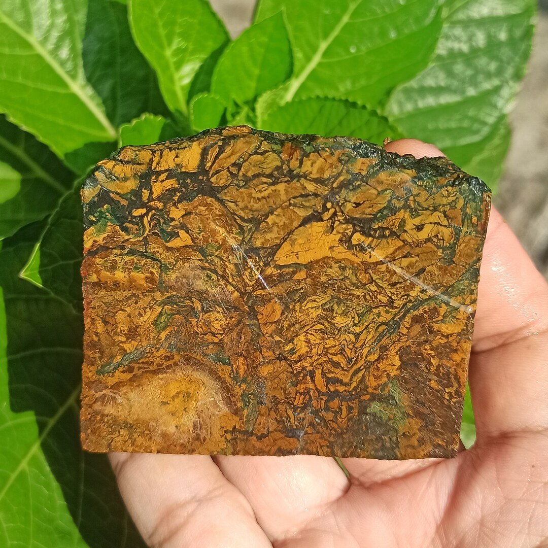 Fingerprint Jasper Slab Ideal for Cabbing River Klawing Indonesian ...