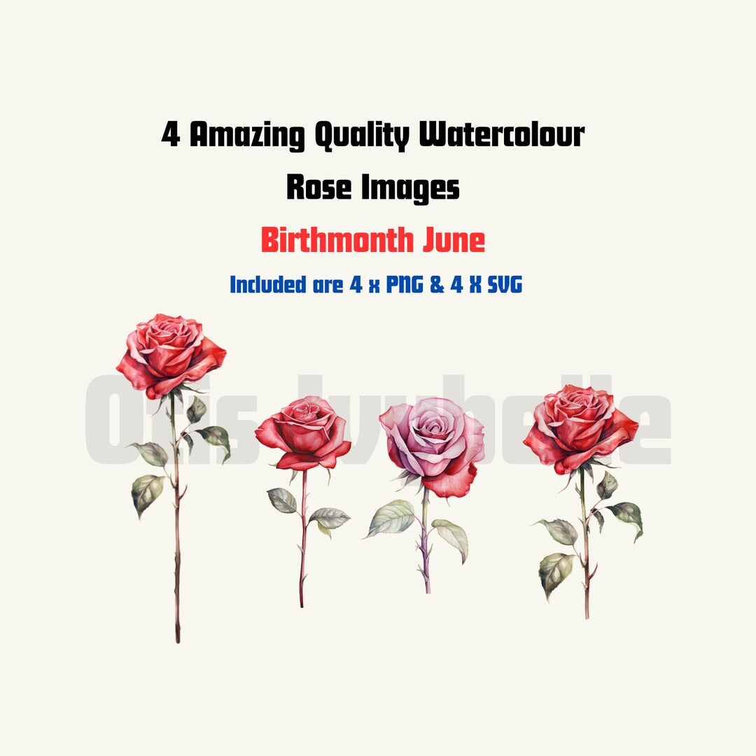 June Birth Month Flower Png Svg Bundle Rose Watercolour Flower Birth ...