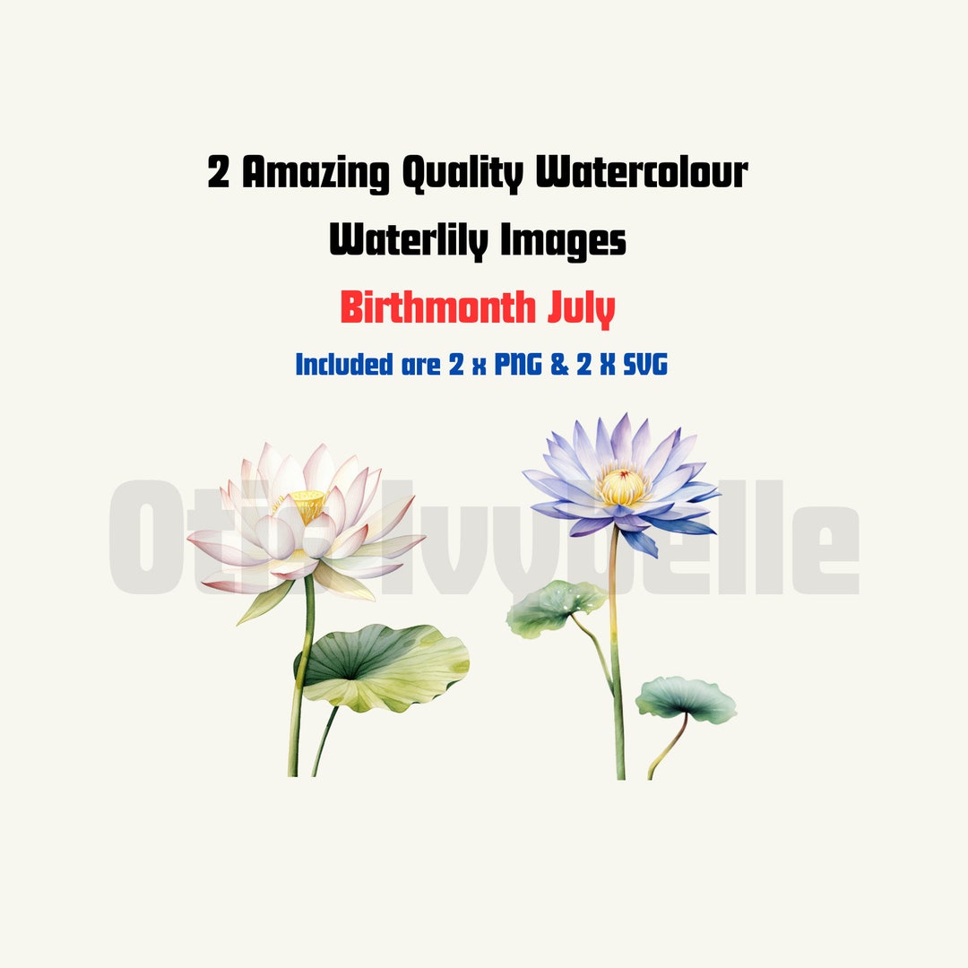 July Birth Month Flower Png Svg Bundle Waterlily Watercolour Flower ...