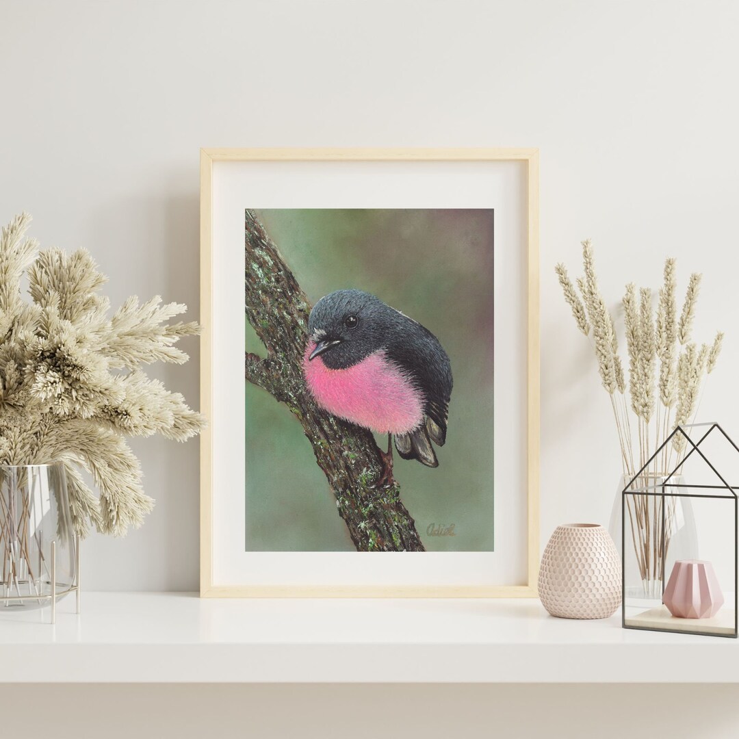 Australian Pink Robin Print |australian Native Bird Art | Soft Pastel ...