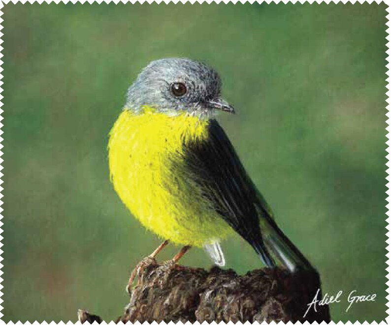 Australian Eastern Yellow Robin Lens Cloth - Etsy