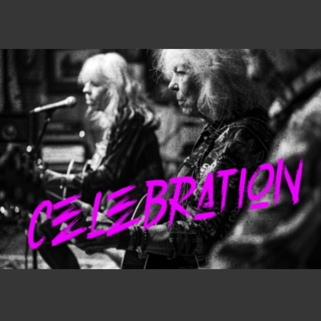 Celebration Font, Calligraphy Font, Script Font, Cricut, Procreate ...